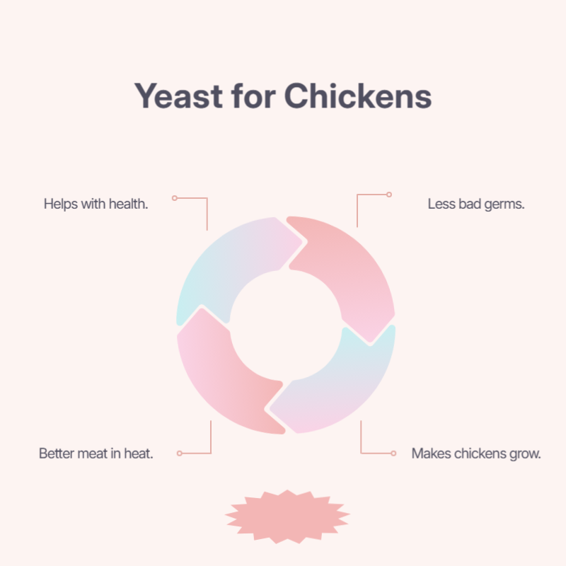 Unlocking Efficiency: How Yeast Supercharges Feed Conversion in Swine ...